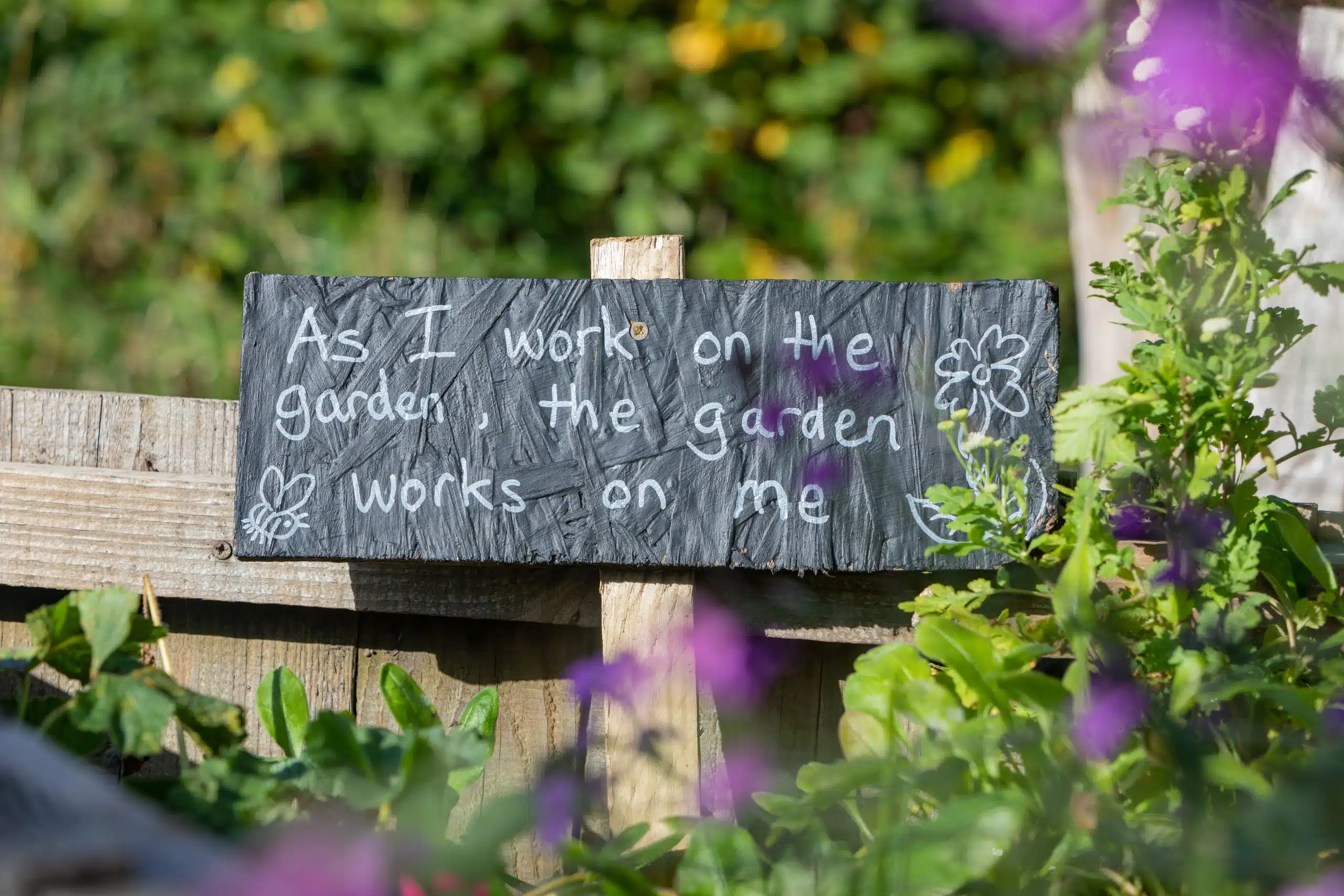 Relapse Prevention Techniques: 7 Ways Gardening Can Help Your Recovery ...