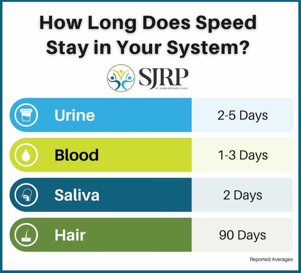 How long does speed stay in your system | SJRP.com